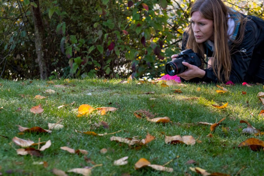 Mastering Photography - Omnilargess Photography Academy