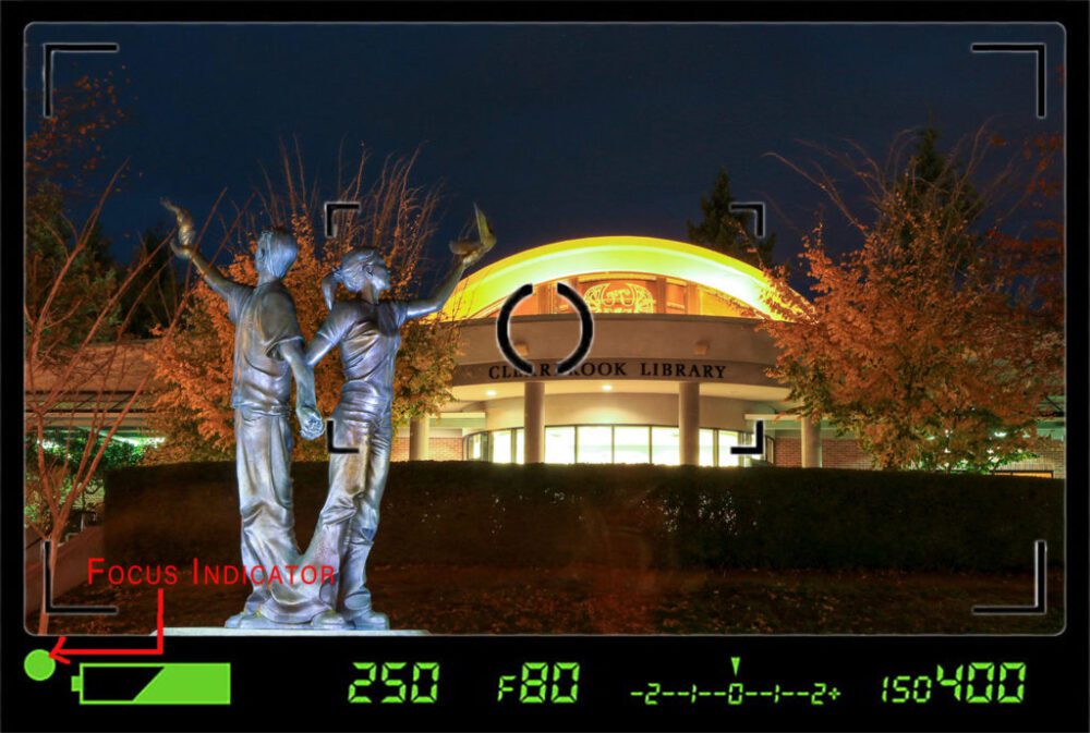 Information Inside Your Camera's Viewfinder - Photography Academy