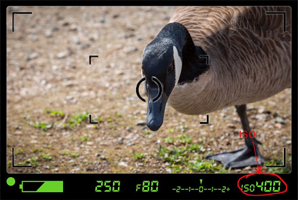 Understanding ISO - Photography Academy