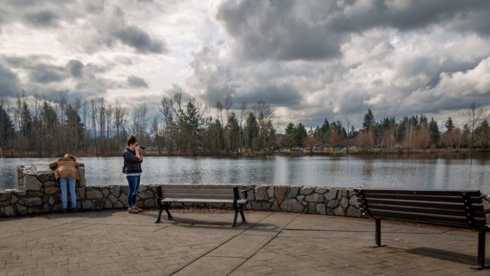 Using Viewfinder Information - Photography Academy