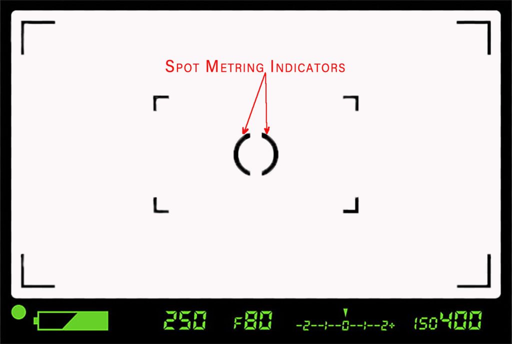 Viewfinder Information - Omnilargess Photography Academy