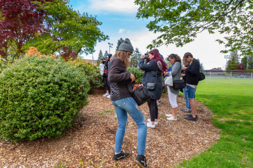 Intermediate Outdoor Photography Workshop - Photography Academy