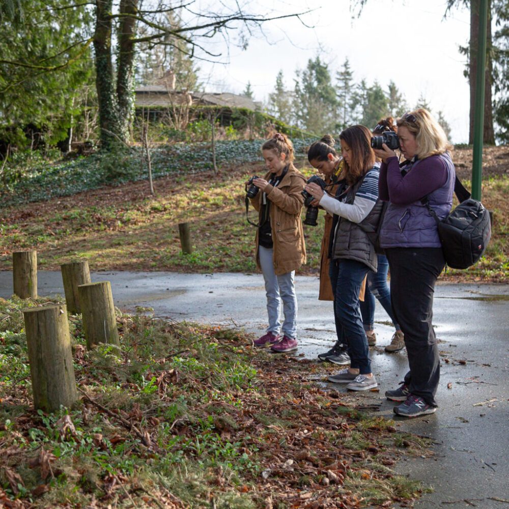 Chimping - Photography Academy