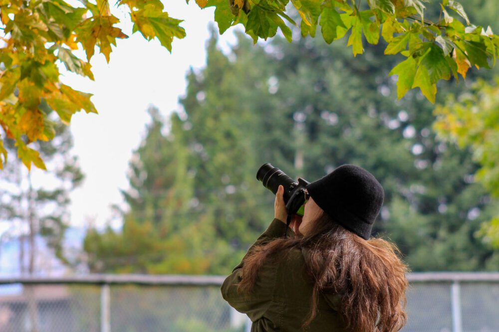 Start Digital Photography for beginners - Photography Academy