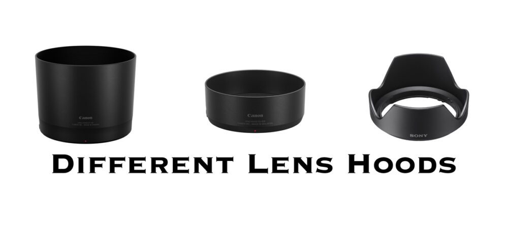 Lenshood - Photography Academy