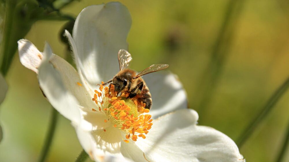 Spot Metering - Photography Academy