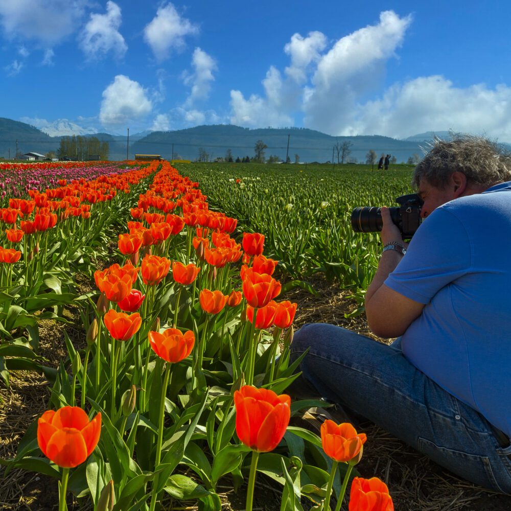 Digital Camera Image Stabilization - Photography Academy