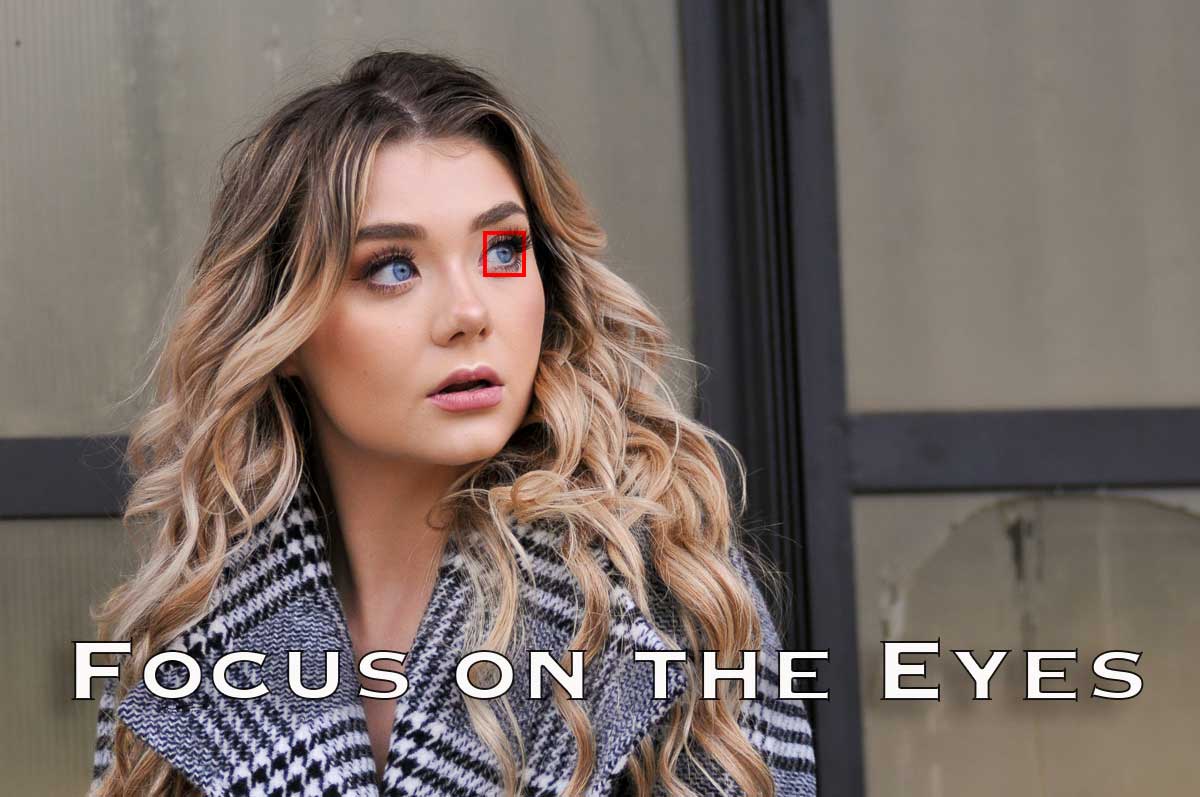 Lock Focus - Photography Academy