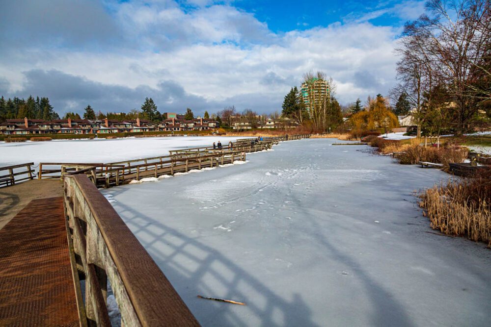Seasonal Photography - Photography Academy