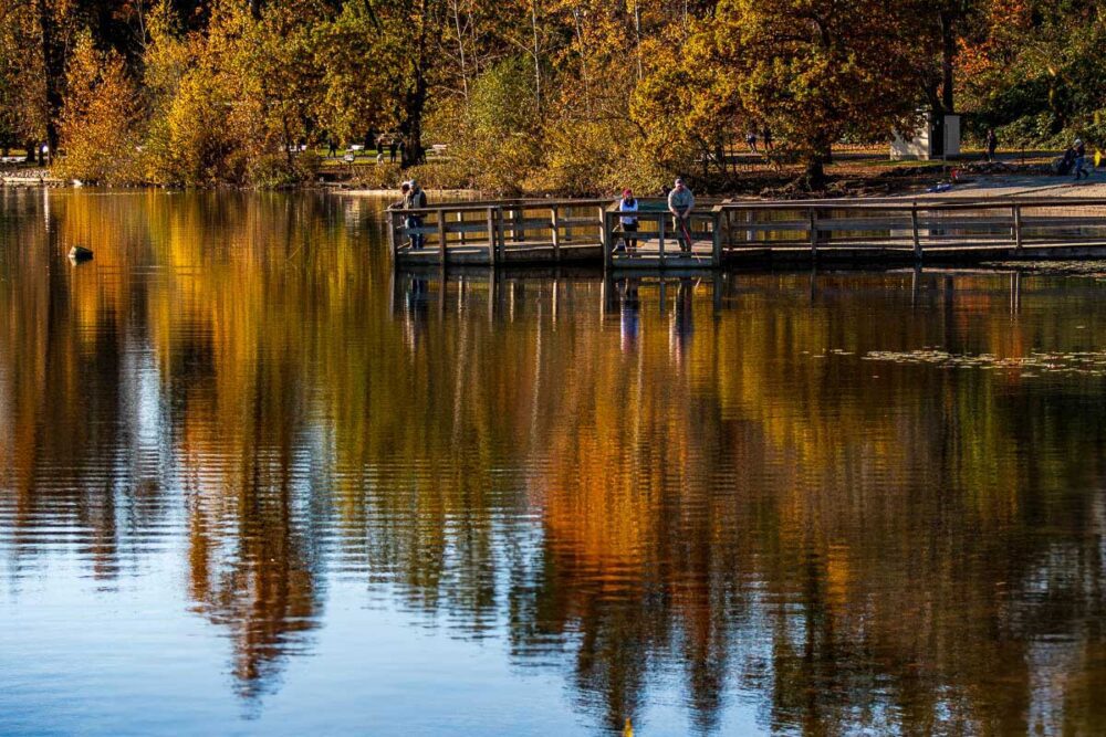 Seasonal Photography - Photography Academy